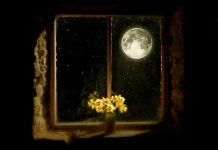 Đóng vai người lính kể lại bài thơ "Ánh trăng" của Nguyễn Duy - Ôn Thi Tốt